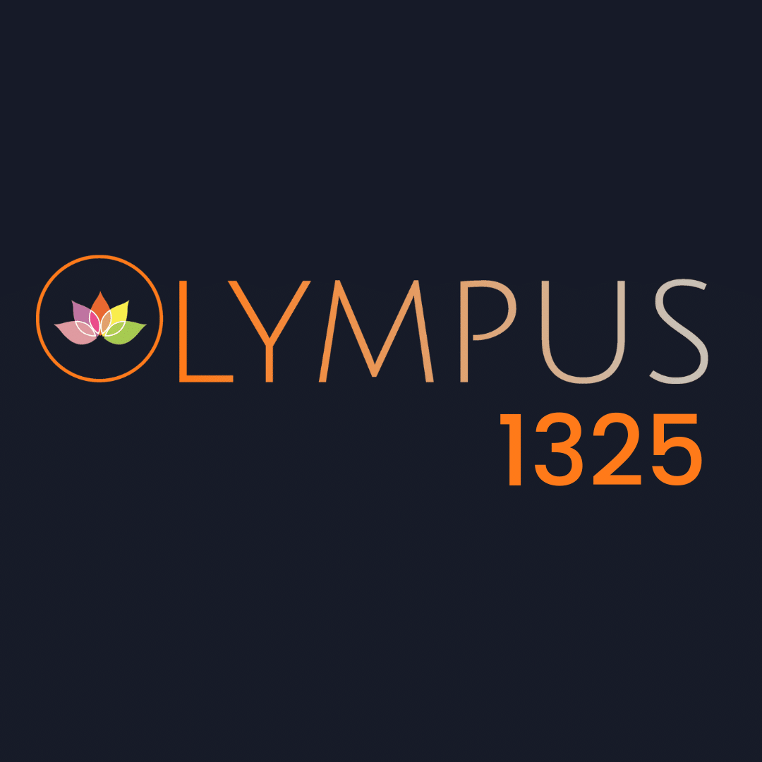 Olympus CNC Router | Delivery & Training Included | Opus CNC